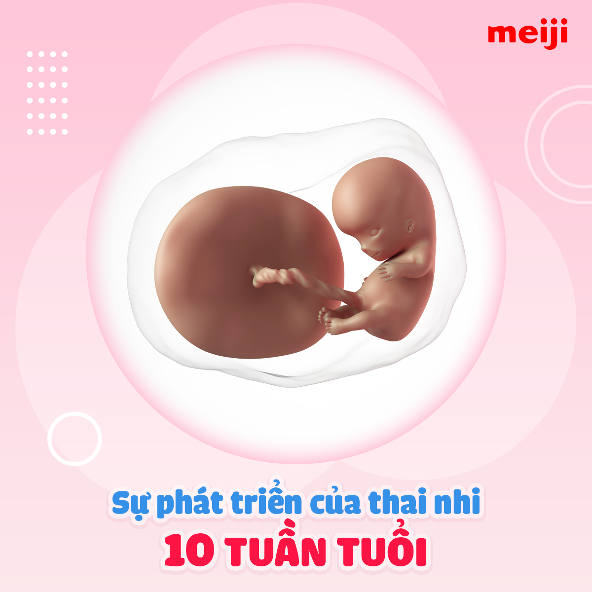Thai 10 tuần: Tất tần tật những gì mẹ cần biết để dưỡng thai