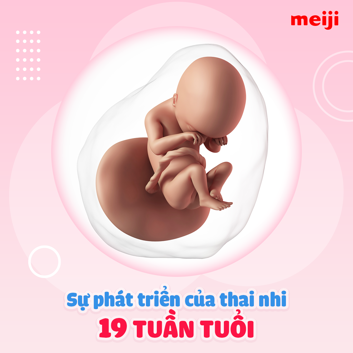 Thai 19 tuần: Sự thay đổi mà mẹ bỉm nào cũng cần lưu ý